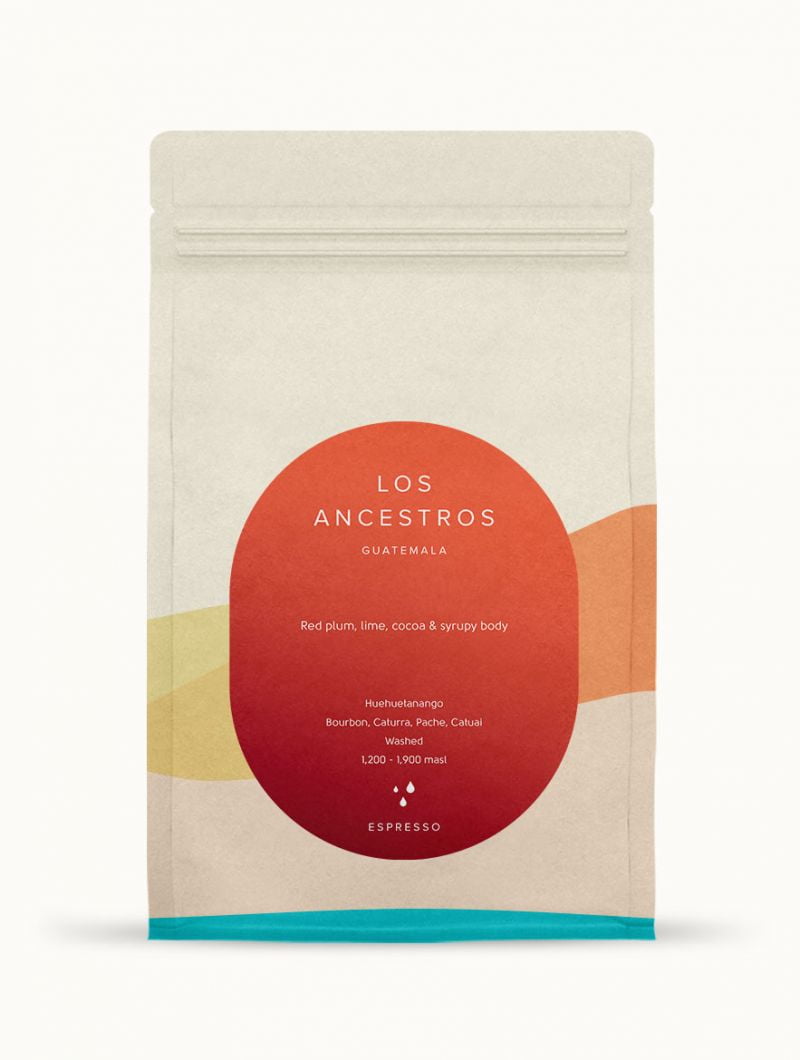 Online Coffee Beans & Brewing Equipment | Humblebee Coffee Roasters